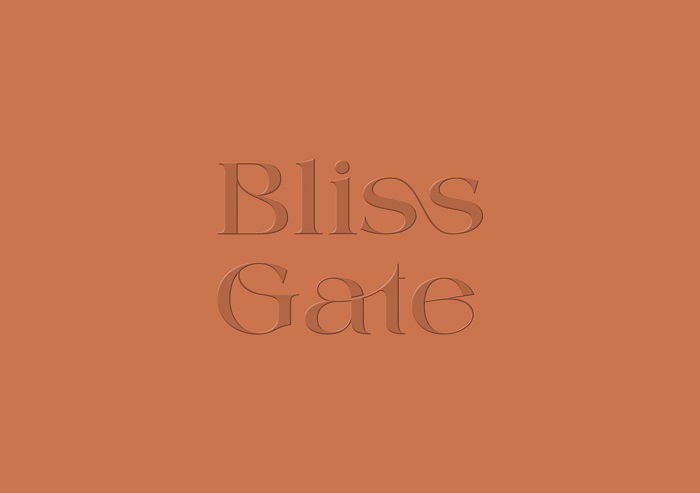 بلس جيت الشيخ زايد bliss gate sheikh Zayed | شركة تورك 2024